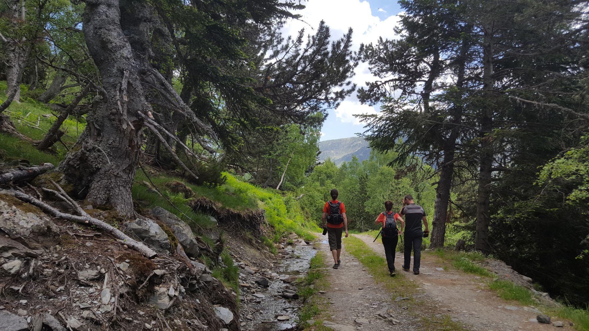 Outdoor Voyage | Explore the Wilderness of Northern Spain