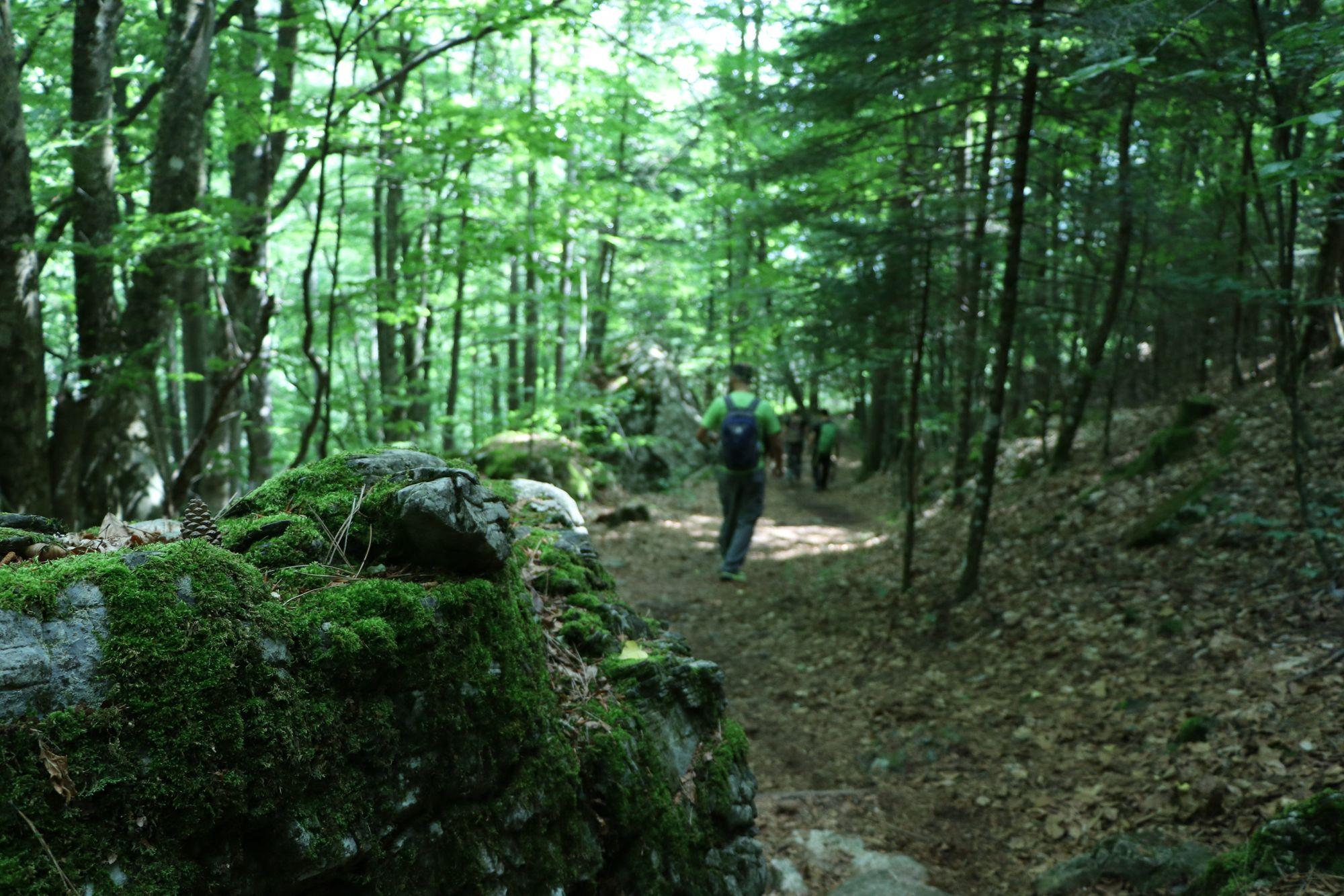 Outdoor Voyage | Hike Enipeas Gorge in Mt. Olympus