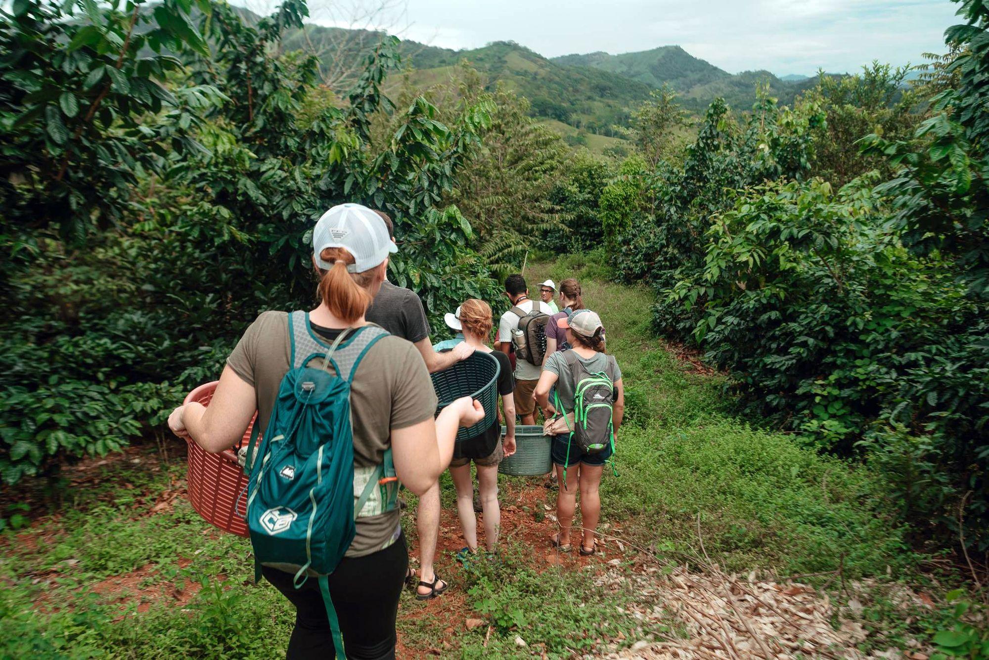 Outdoor Voyage | Costa Rica Coffee Exploration