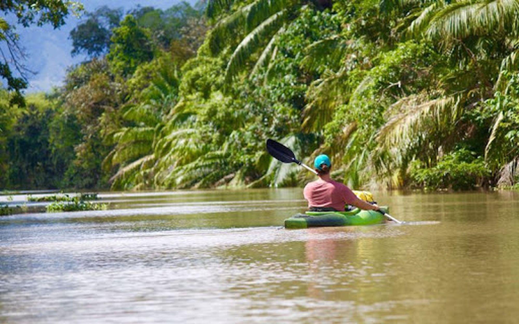 Outdoor Voyage | Kayaking in Sierpes Mangrove Forest